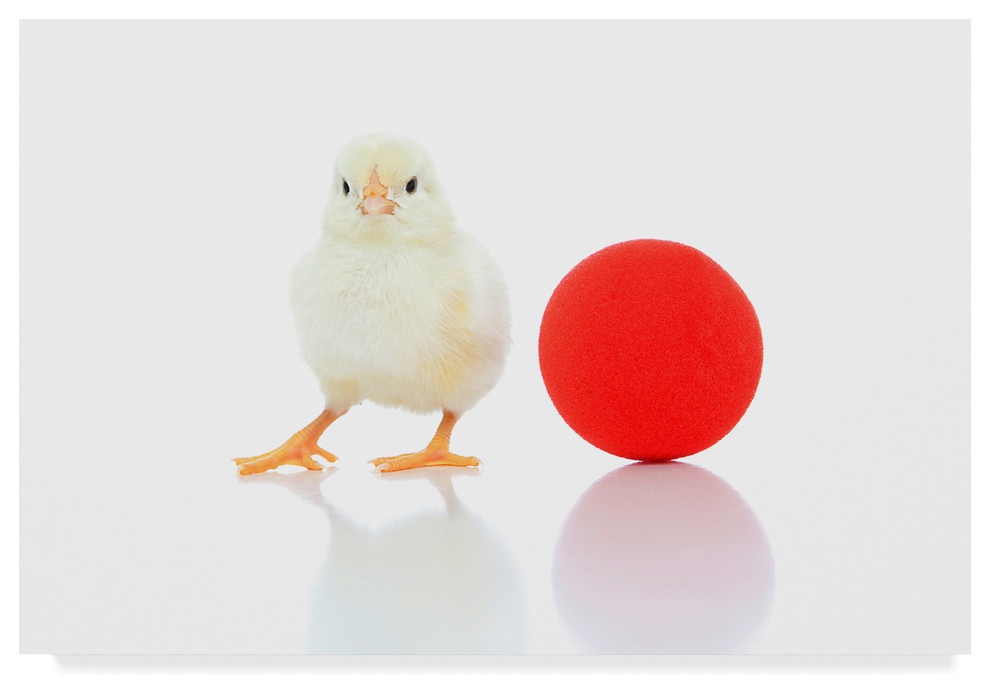 "Chick Ball" by Andrea Mascitti Puppies, Canvas Art, 22"x32 ...