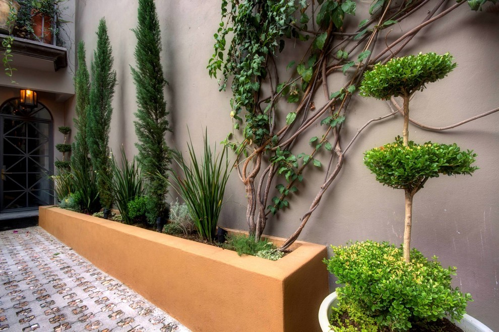 San Miguel de Allende - Contemporary Urban Landscaping - Contemporary ...