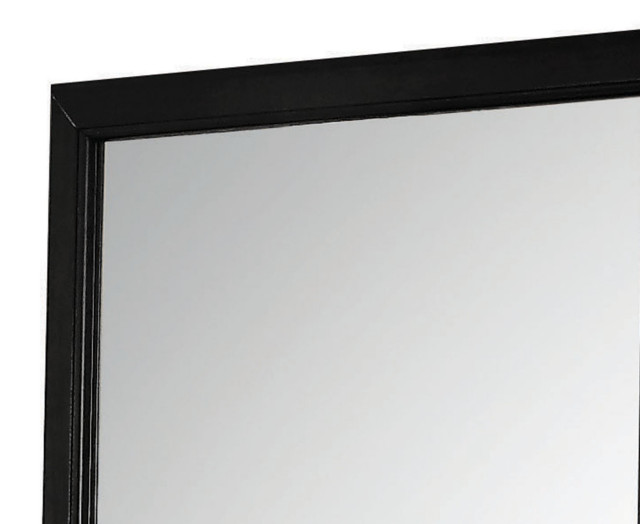 Transitional Style Mirror With Raised Wooden Frame, Black and Silver ...
