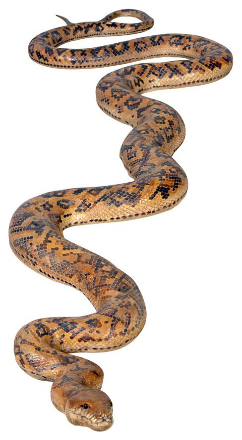 Design Toscano Giant Burmese Python Statue - Contemporary - Garden ...