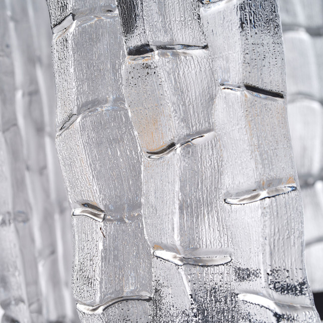 Farmhouse 4-Light Textured Glass Style Pendant Lighting Fixture ...