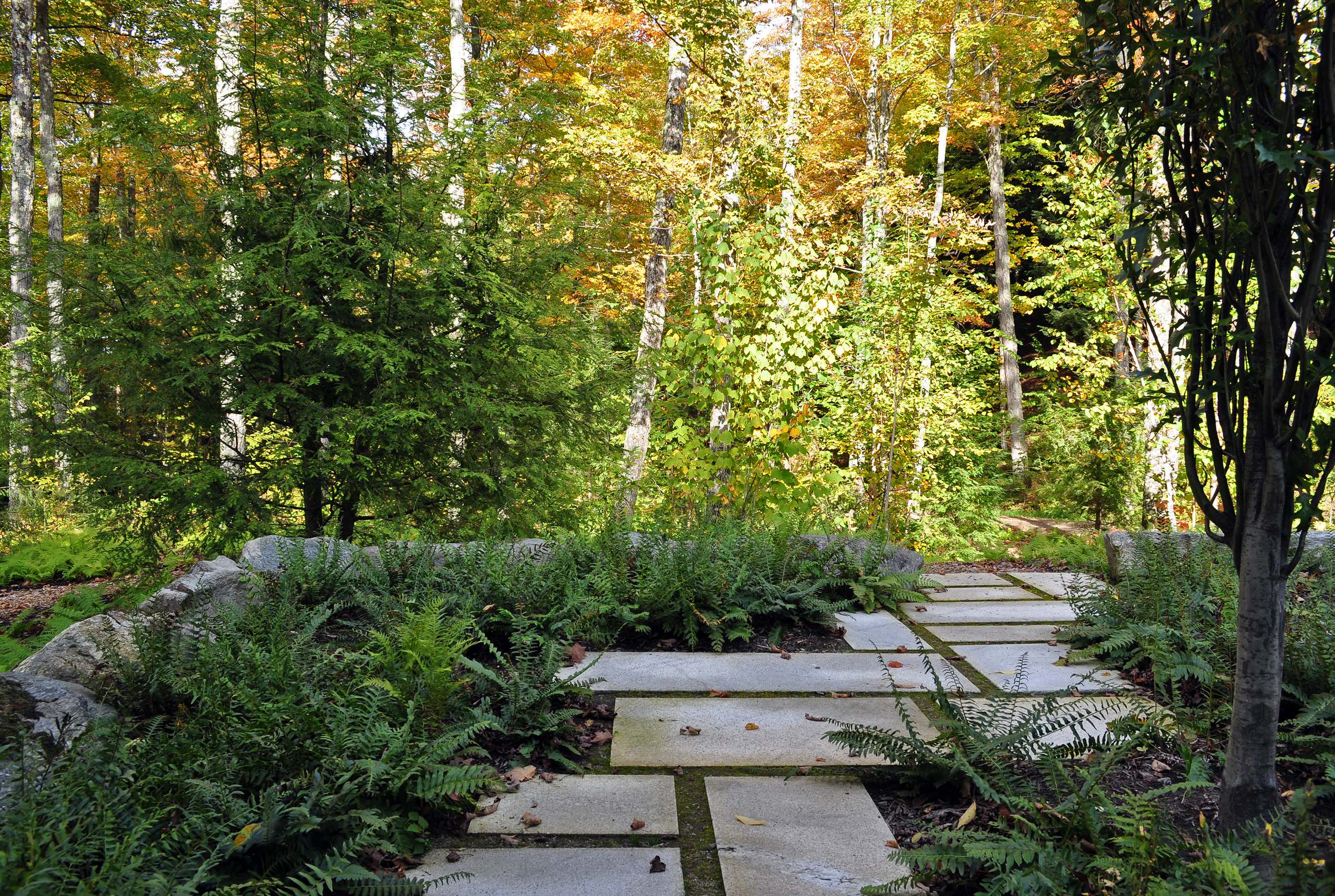 10 Home-Wellness Essentials for a Healthy Life