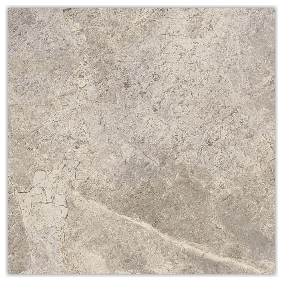 Eterno Tundra Matte 24x24 Porcelain Tile, 24x24 - Contemporary - Wall ...