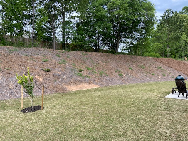 Steep Hill Ground Cover