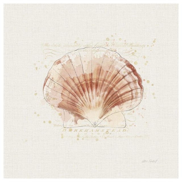 "Shell Collector IV" Digital Paper Print by Katie Pertiet, 20"x20", 30 ...