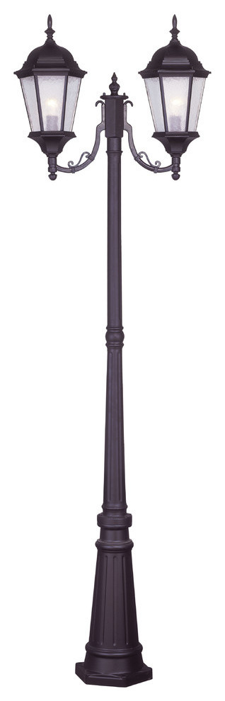 Hamilton Outdoor 2-Headed Post Light, Black - Traditional - Post Lights ...