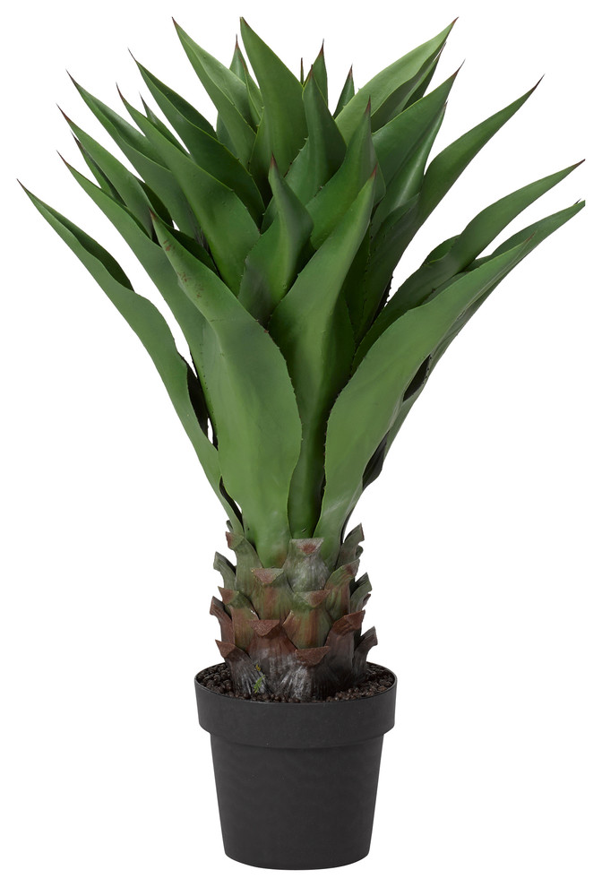 Sisal Plant - Artificial Plants And Trees - by D&W Silks, Inc | Houzz