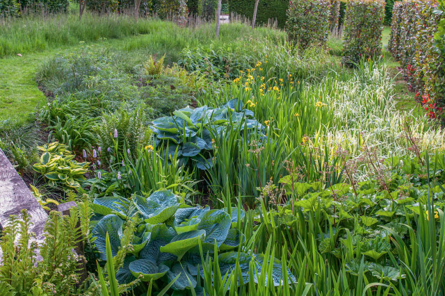 Bog Garden Design Uk | Fasci Garden