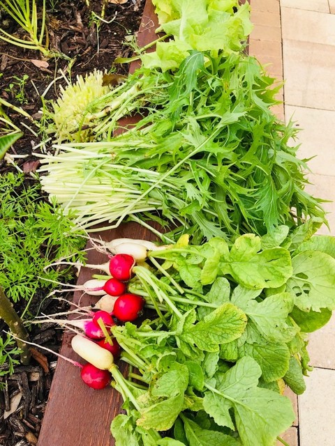 See What’s Growing in These Backyard Edible Gardens