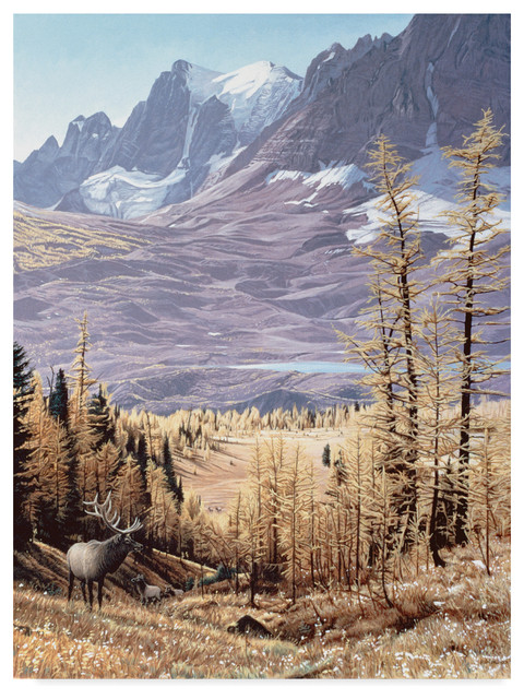 Ron Parker 'The Rockwall' Canvas Art, 24"x18" - Rustic - Prints And ...
