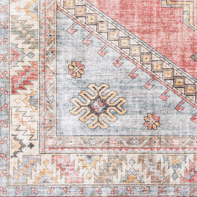 Iris Traditional Area Rug, 5'x7'6" - Contemporary - Area Rugs - by ...