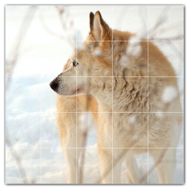 Wolf Ceramic Tile Wall Mural HZ501244, 30" Wide x 30" High - Rustic ...