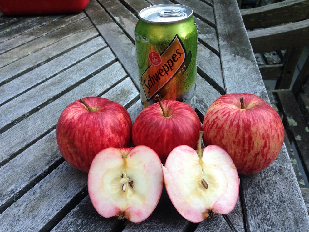 Apple identification help