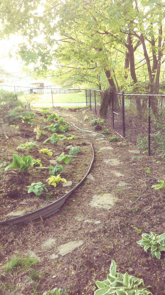 What to do with narrow strip in garden where nothing will grow?
