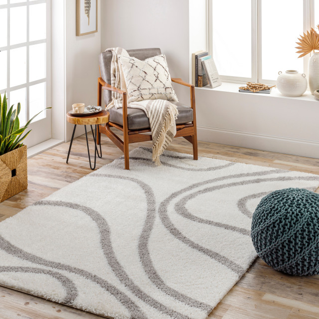 Cloudy shag CDG-2300 Machine Woven Area Rug - Contemporary - Area Rugs ...
