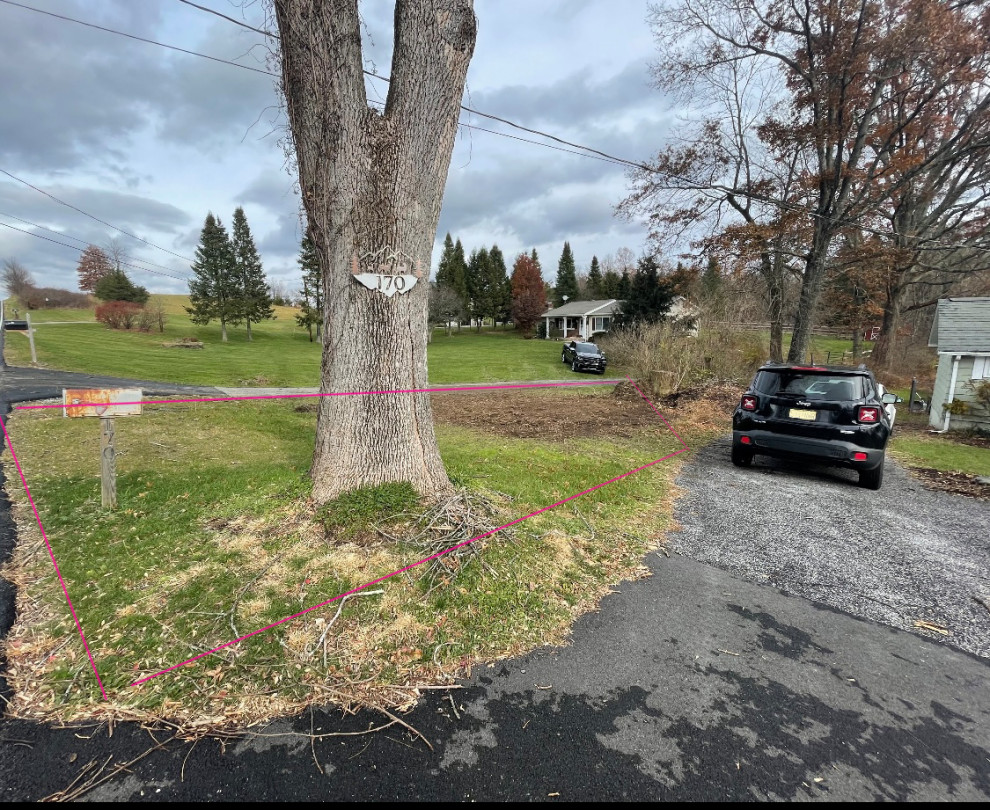 Property Line Border: What would you plant?