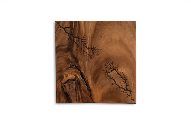 Lightning Wall Tile, Chamcha Wood - Rustic - Wall Accents - by Phillips ...