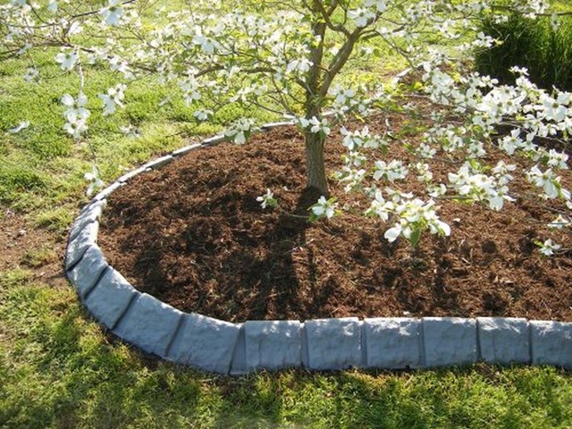 Stone Edging Around Trees