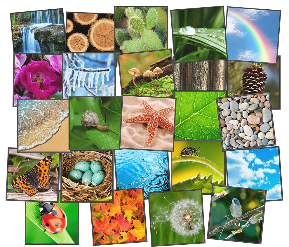 Flagship Carpets VA1012-S24FS 16"X16" Set Of 24 Nature Square ...