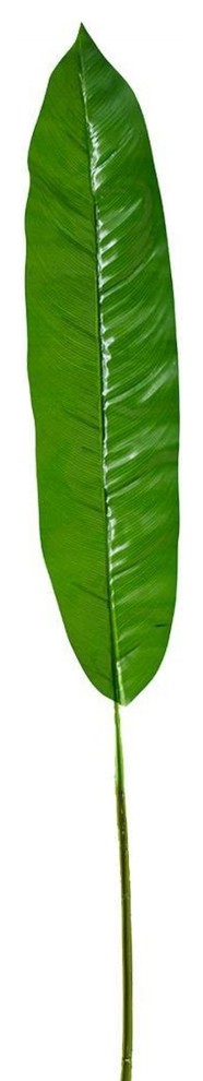 Serene Spaces Living Faux Banana Leaf, Set of 12 - Modern - Artificial ...