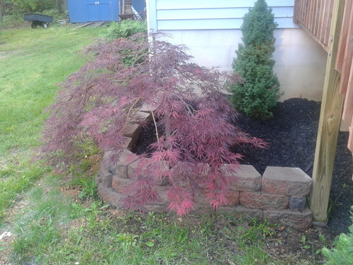 Boring Front Yard before and after!