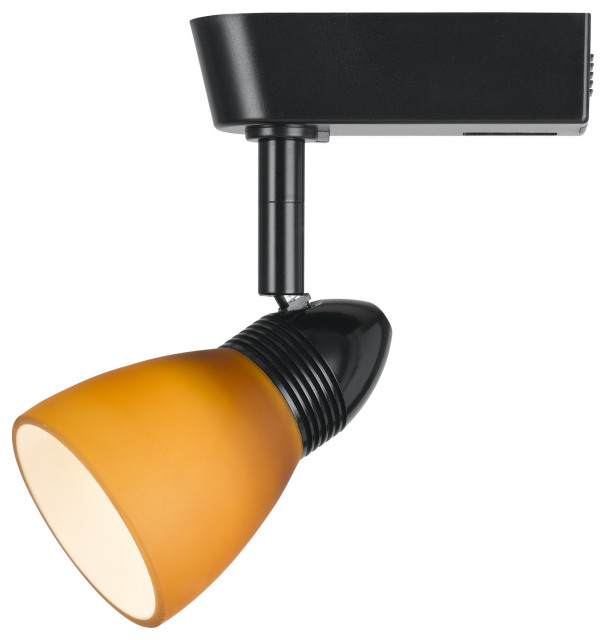 Track Fixture - Contemporary - Track Heads And Pendants - by LAMPS EXPO ...