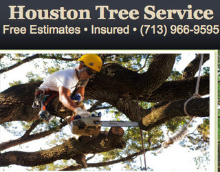 HOUSTON TREE SERVICE - Project Photos & Reviews - Houston, TX, TX US ...