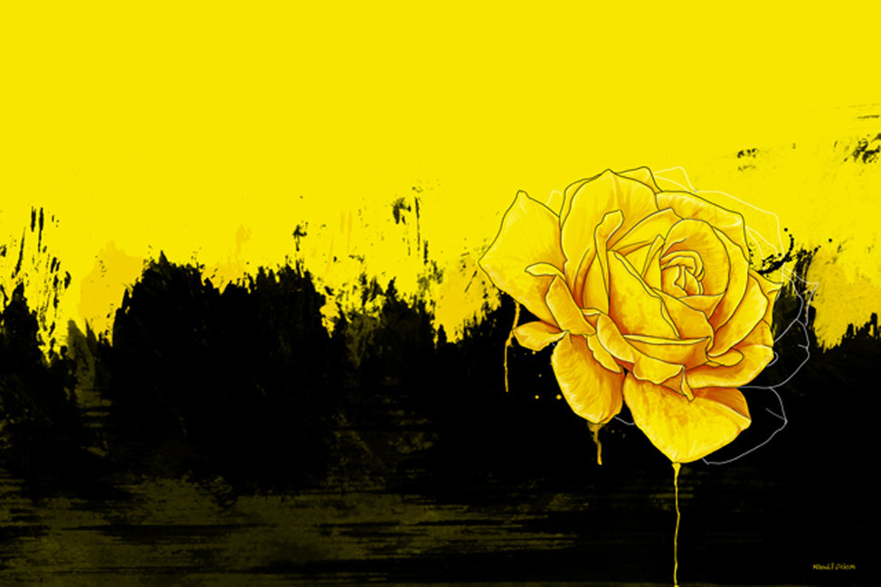 "Yellow Rose" Canvas Print Wall Art by Maxwell Dickson - Modern ...