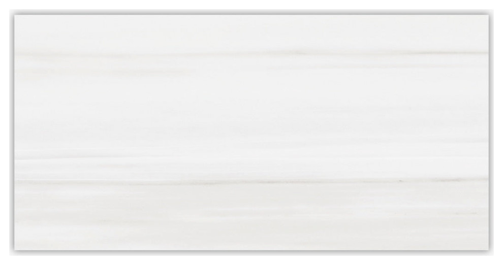 Dolomite White Matte 12x24 Porcelain Tile, 12x24 - Traditional - Wall ...