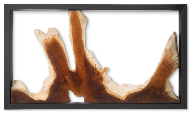 Framed Root Wall Art, Rectangle, Black, 30x3x51"h - Rustic - Wall ...