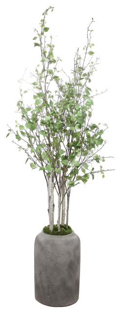 River Birch Tree Branches Potted Concrete Planter Minimalist Floor ...