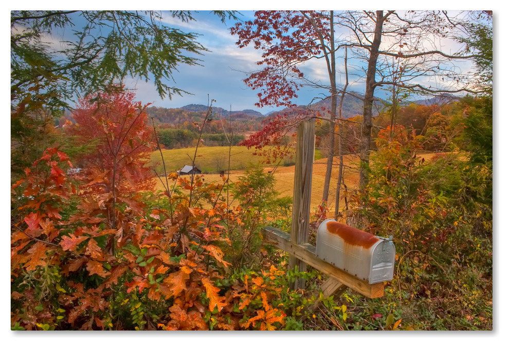 Bob Rouse 'Mailbox' Canvas Art, 12"x19" - Contemporary - Prints And ...