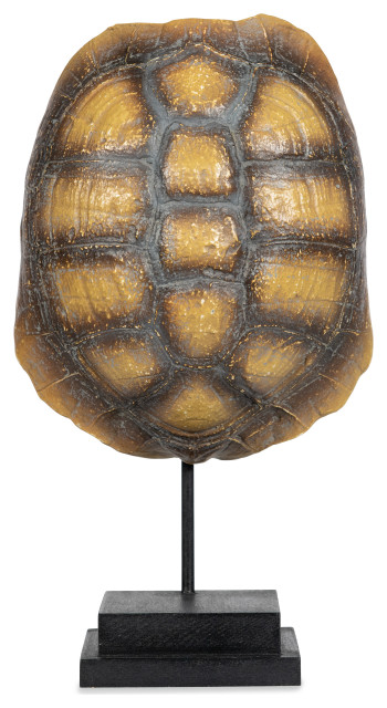 Faux Yellow Footed Tortoise Shell on Stand - Contemporary - Decorative ...