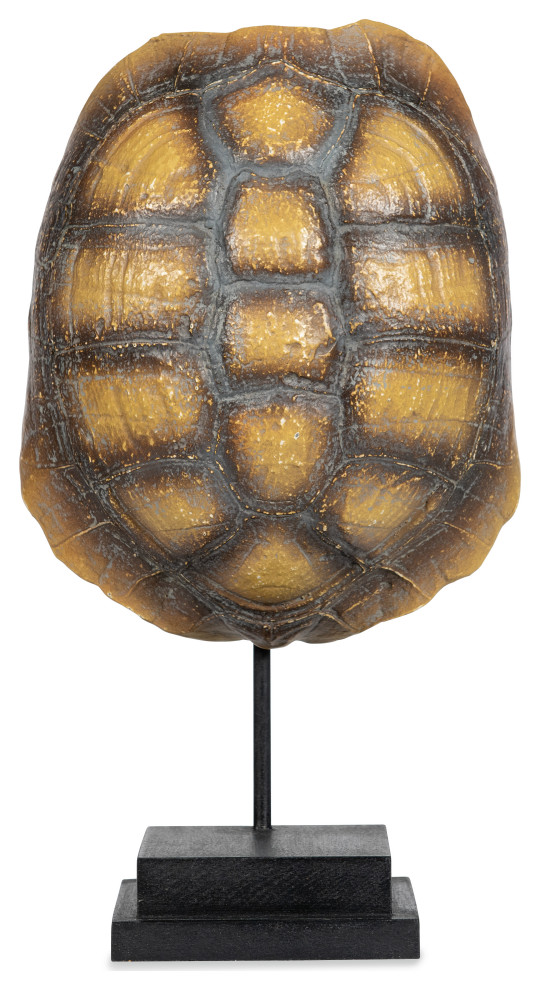 Faux Yellow Footed Tortoise Shell on Stand - Contemporary - Decorative ...