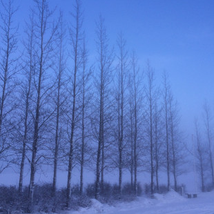 MICHAEL SPAZIANI ARCHITECT INC. MSAI - Project Photos & Reviews ...