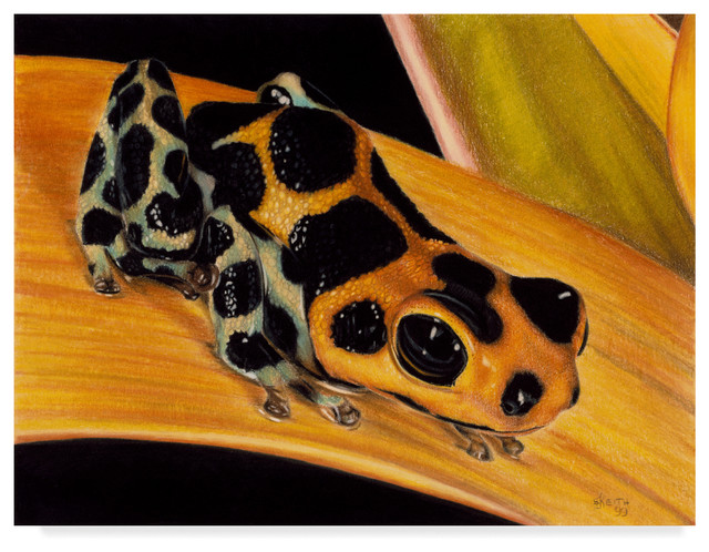 "Quiet Morning" by Barbara Keith, Canvas Art, 24"x18" - Tropical ...