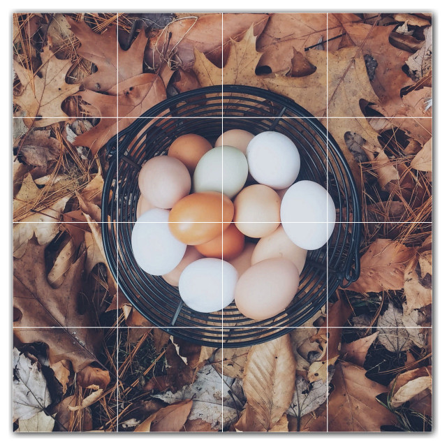 Farm Ceramic Tile Wall Mural HZ500571, 48" Wide x 48" High - Farmhouse ...