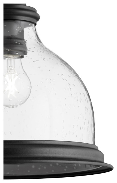 Quorum 12" Pendant Light in Noir with Clear Seeded Glass, 12.000 ...