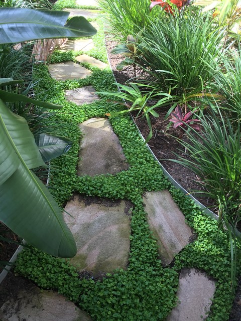 Garden path using our unique Plant Tiles of Dichondra repens ...