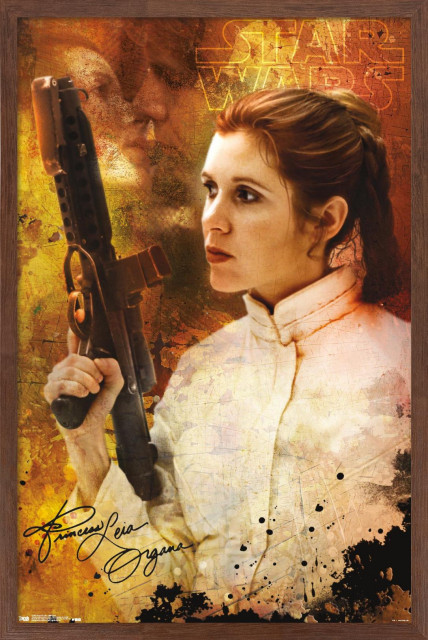 Star Wars: Saga - Princess Leia - Signature, 22.375" x 34 ...