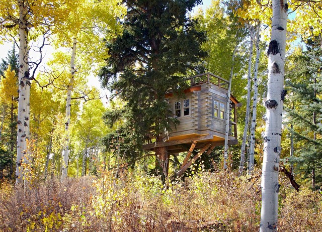 Swaying From Sleepovers to Dinner Parties in a Colorado Tree House