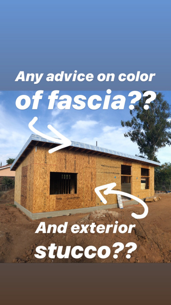 Help on exterior stucco paint and fascia color