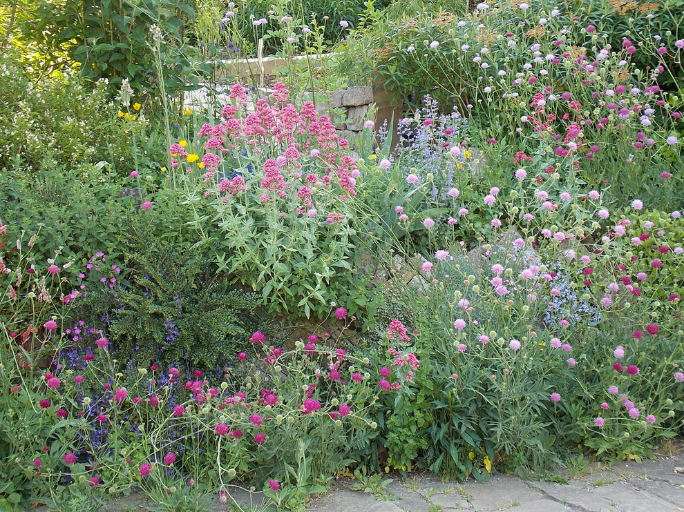 Get the Look: Untamed, Naturalistic Garden Style