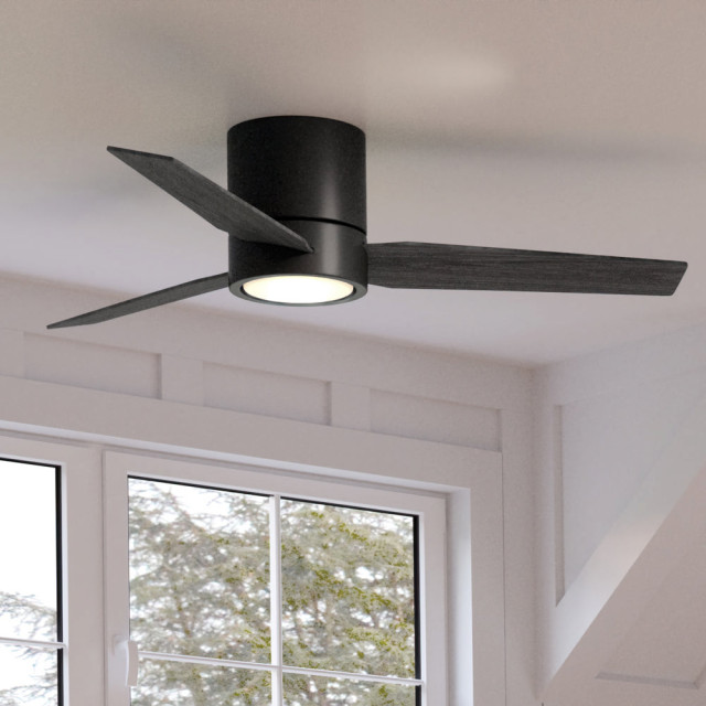 Luxury Mid-Century-Modern Ceiling Fan, Midnight Black - Transitional ...