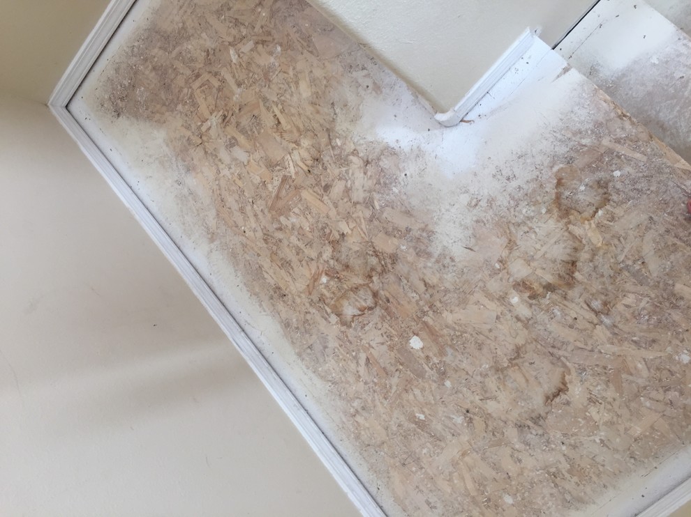 Need help with stairs and OSB landing