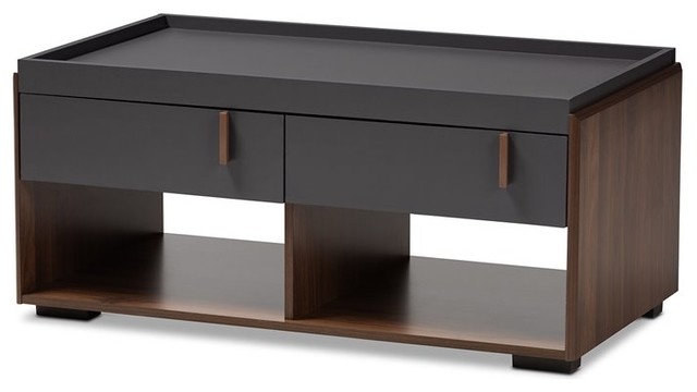 Rikke Modern Two-Tone Gray and Walnut Finished Wood 2-Drawer Coffee ...