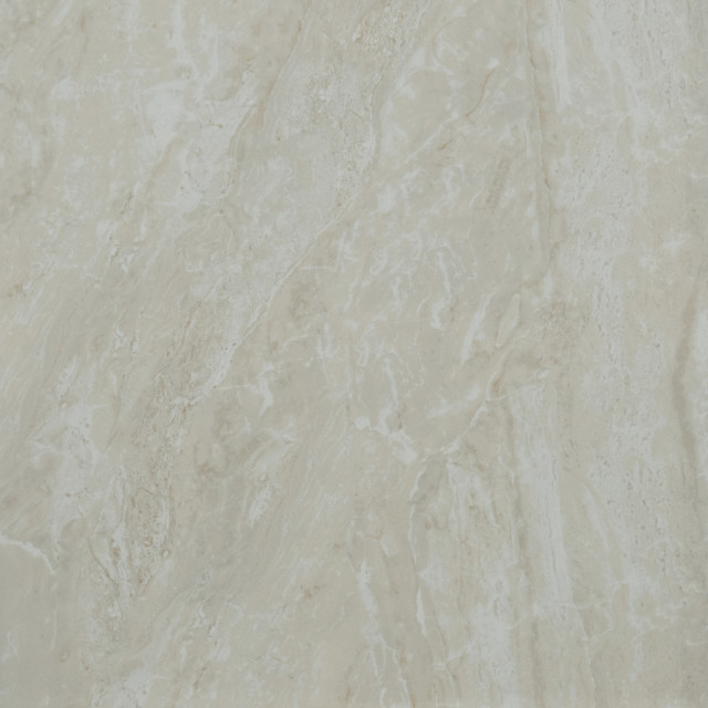 MSI N2424P-N 24" x 24" Square Floor and Wall Tile - Polished ...