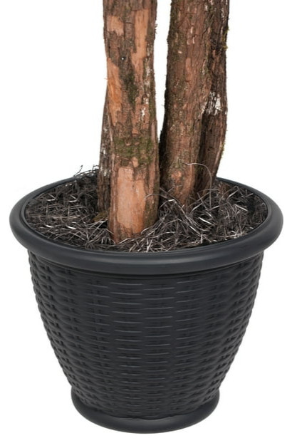 Vickerman TBU0640-RB 4' Artificial Ming Aralia Bush Brown Plastic ...