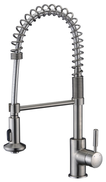 ANZZI Eclipse Single Handle Pull-Down Sprayer Kitchen Faucet, Brushed ...