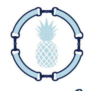 ANNA LUCILLE DESIGN - Project Photos & Reviews - Cincinnati, OH US | Houzz